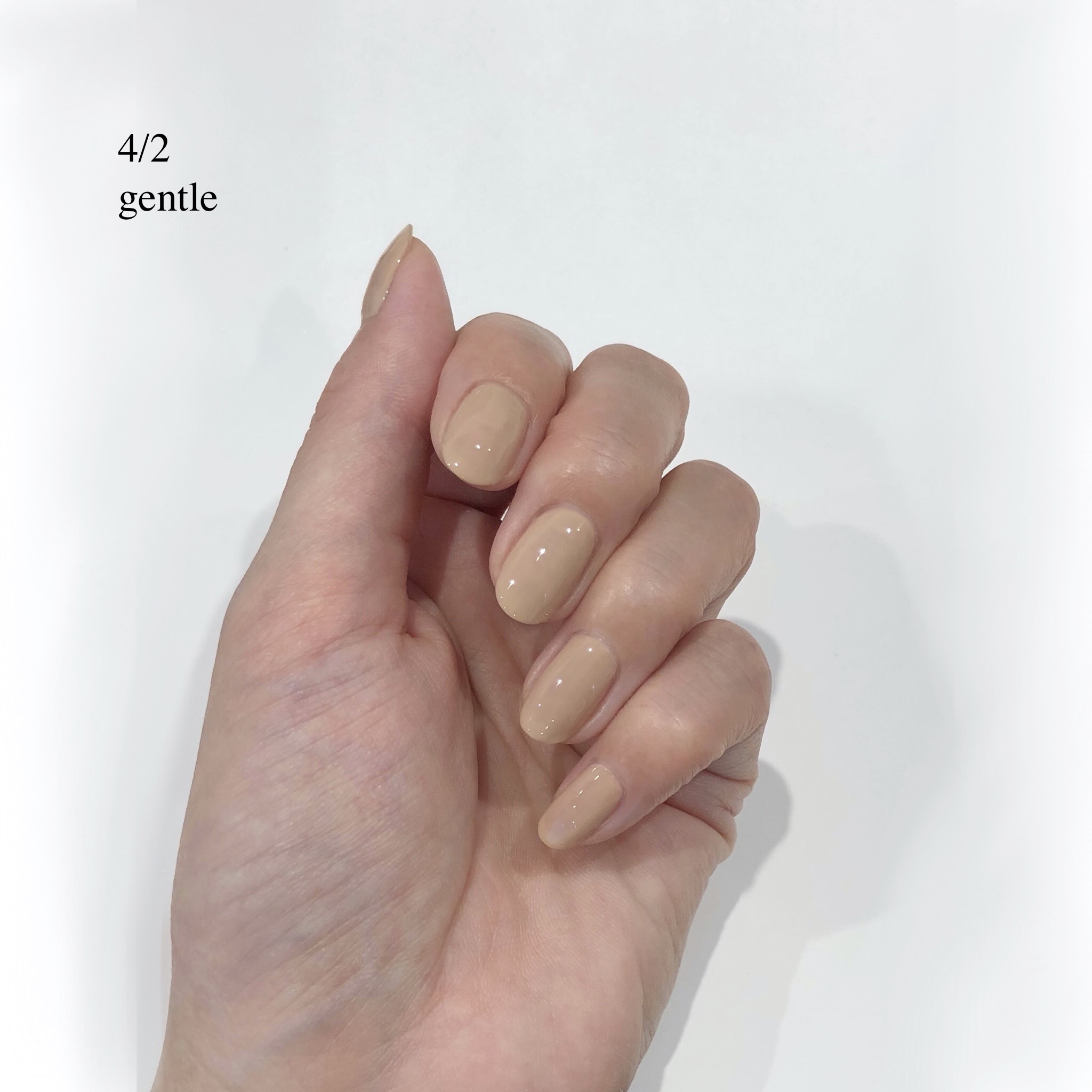 uka beige study two 4/2 | uka公式オンラインストア ukakau